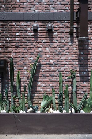 Pormenores do exterior