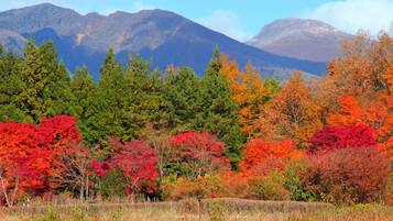 Paisagem montanhosa com folhagem de outono.