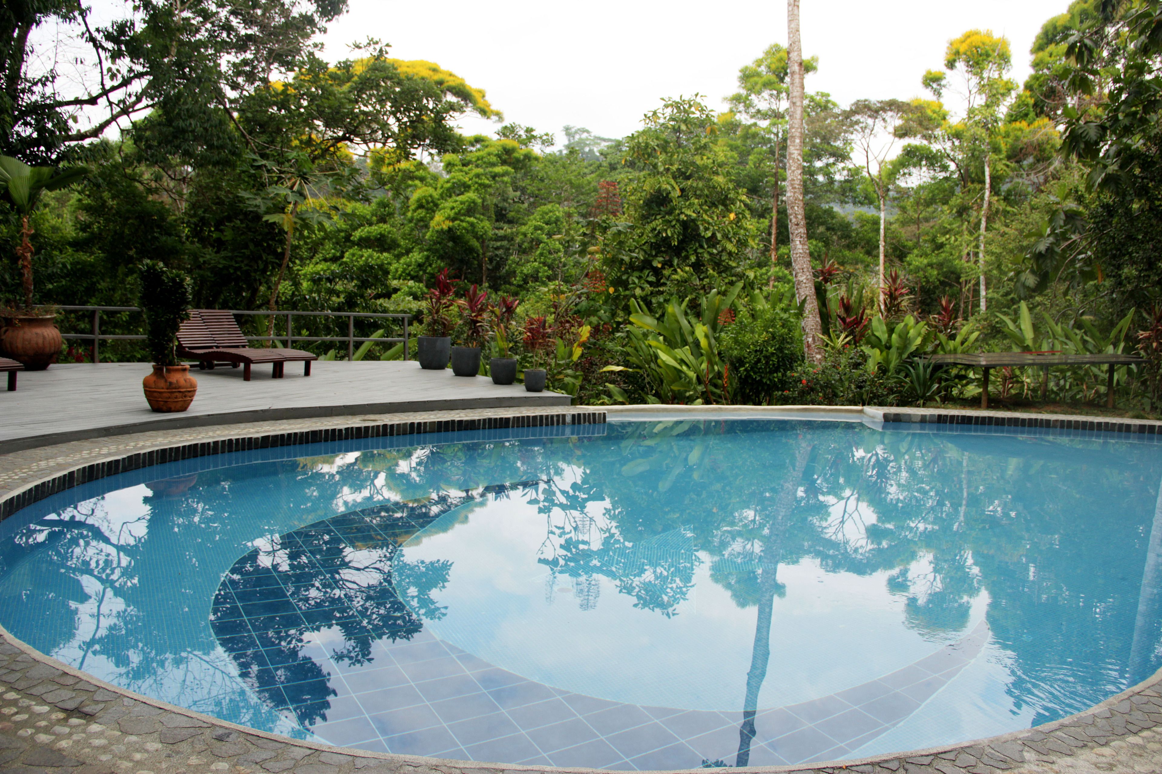 Piscina exterior, espreguiçadeiras 