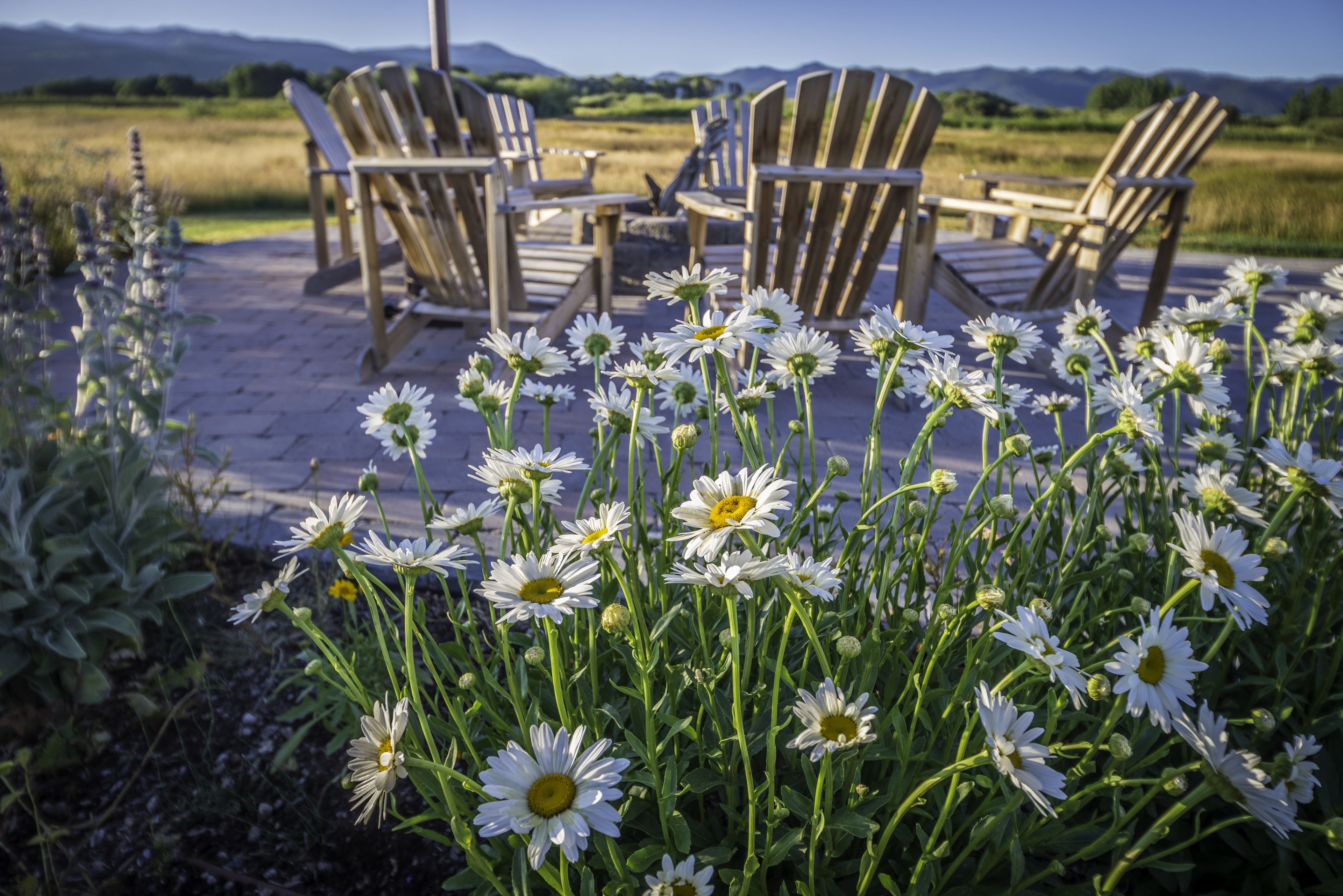 Terraço com espreguiçadeiras