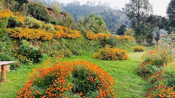 Vista para o jardim
