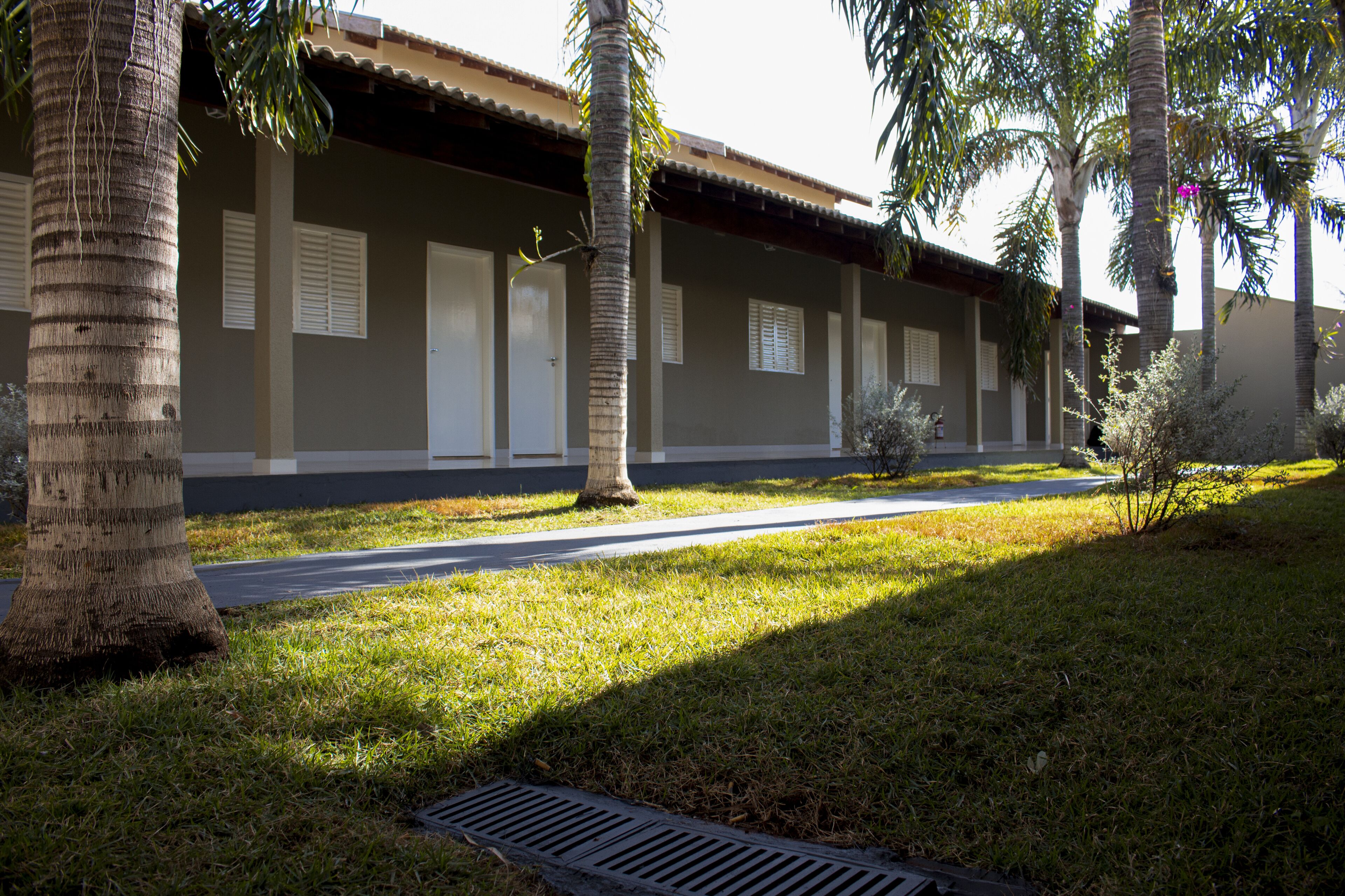 Um edifício com várias portas e janelas, cercado por palmeiras e grama.