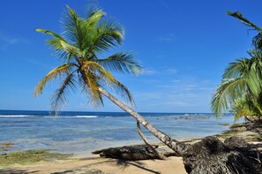 Perto da praia 