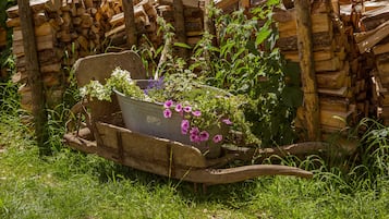 Jardim