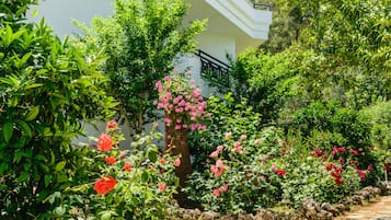 Jardim