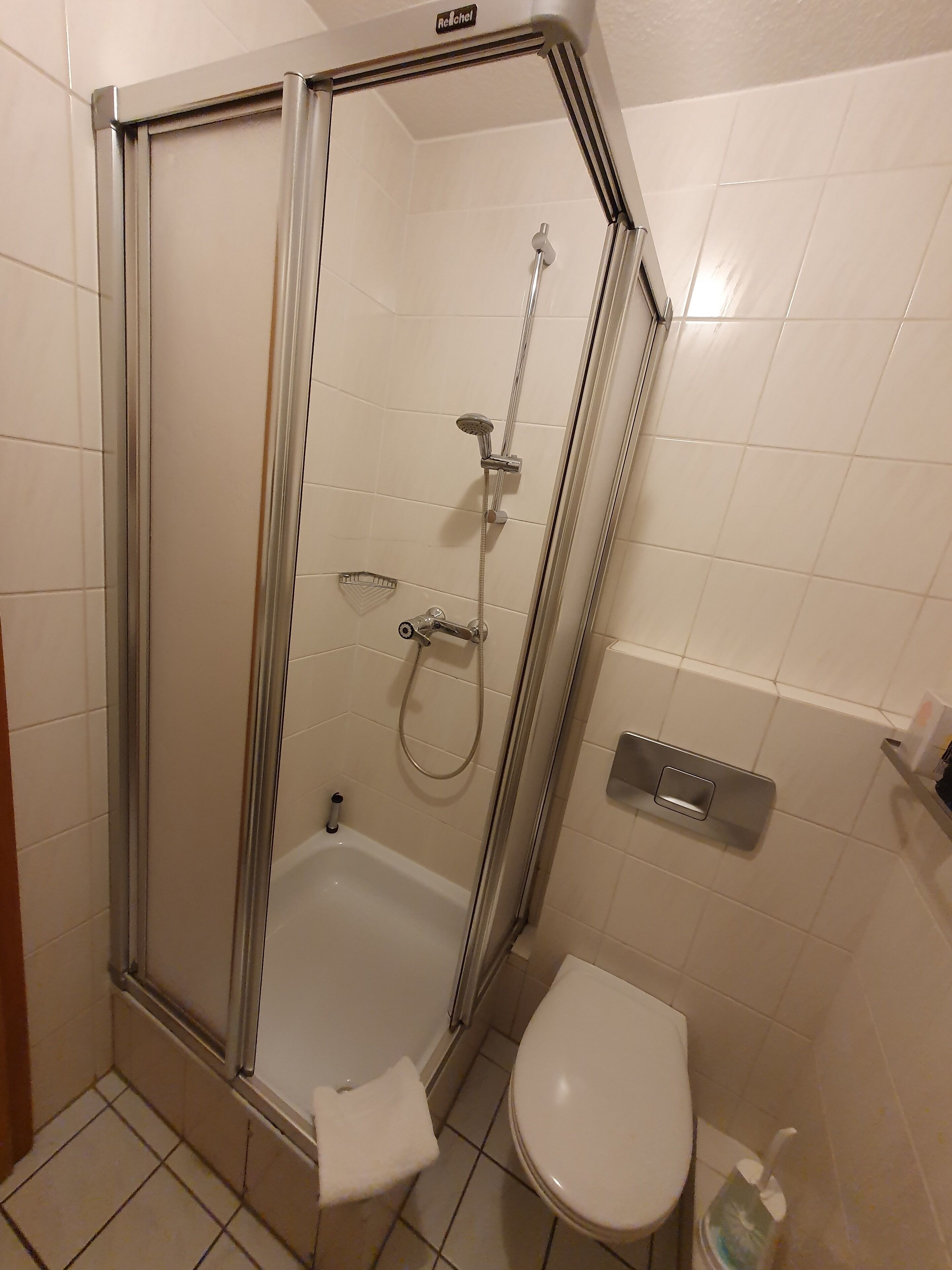 Um chuveiro com porta de vidro, vaso sanitário branco e uma prateleira pequena com produtos de higiene pessoal.