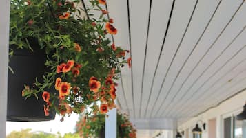 Camas de colchão Select Comfort, secretária, quartos insonorizados