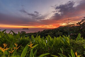Paisagem tropical com vegetação exuberante e um pôr do sol sobre o oceano.