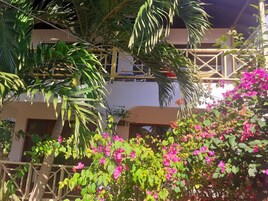 Fachada do alojamento (tarde/noite)