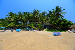 Perto da praia, mergulho, surf/bodyboard