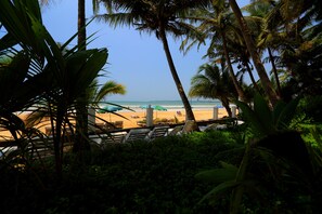 Na praia, mergulho, surf/bodyboard 