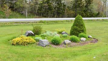 Um jardim ajardinado com diversas plantas e pedras.