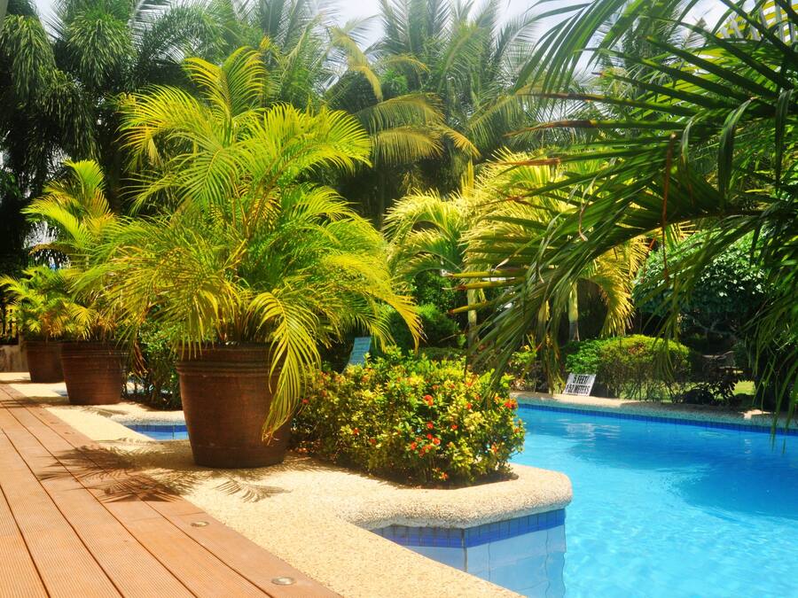 2 piscinas exteriores, espreguiçadeiras