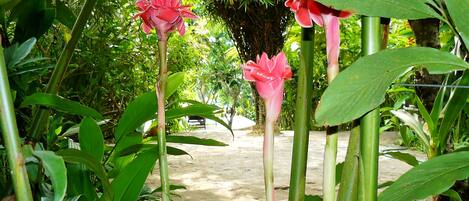 Um jardim com flores cor-de-rosa e folhagem verde.