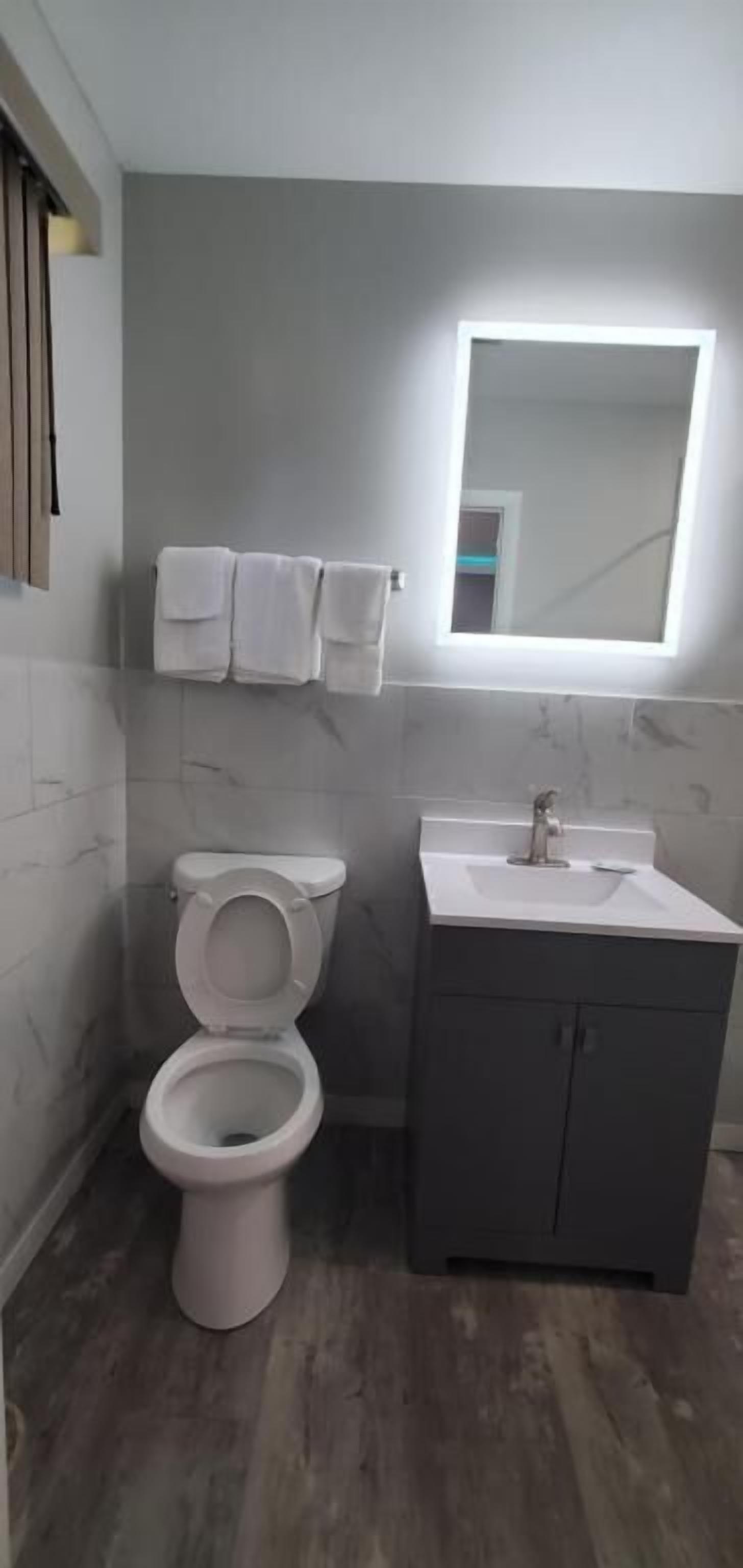 Casa de banho com sanita, lavatório e espelho com luz.
