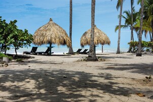 Uma praia com guarda-sóis de palha, espreguiçadeiras e palmeiras.