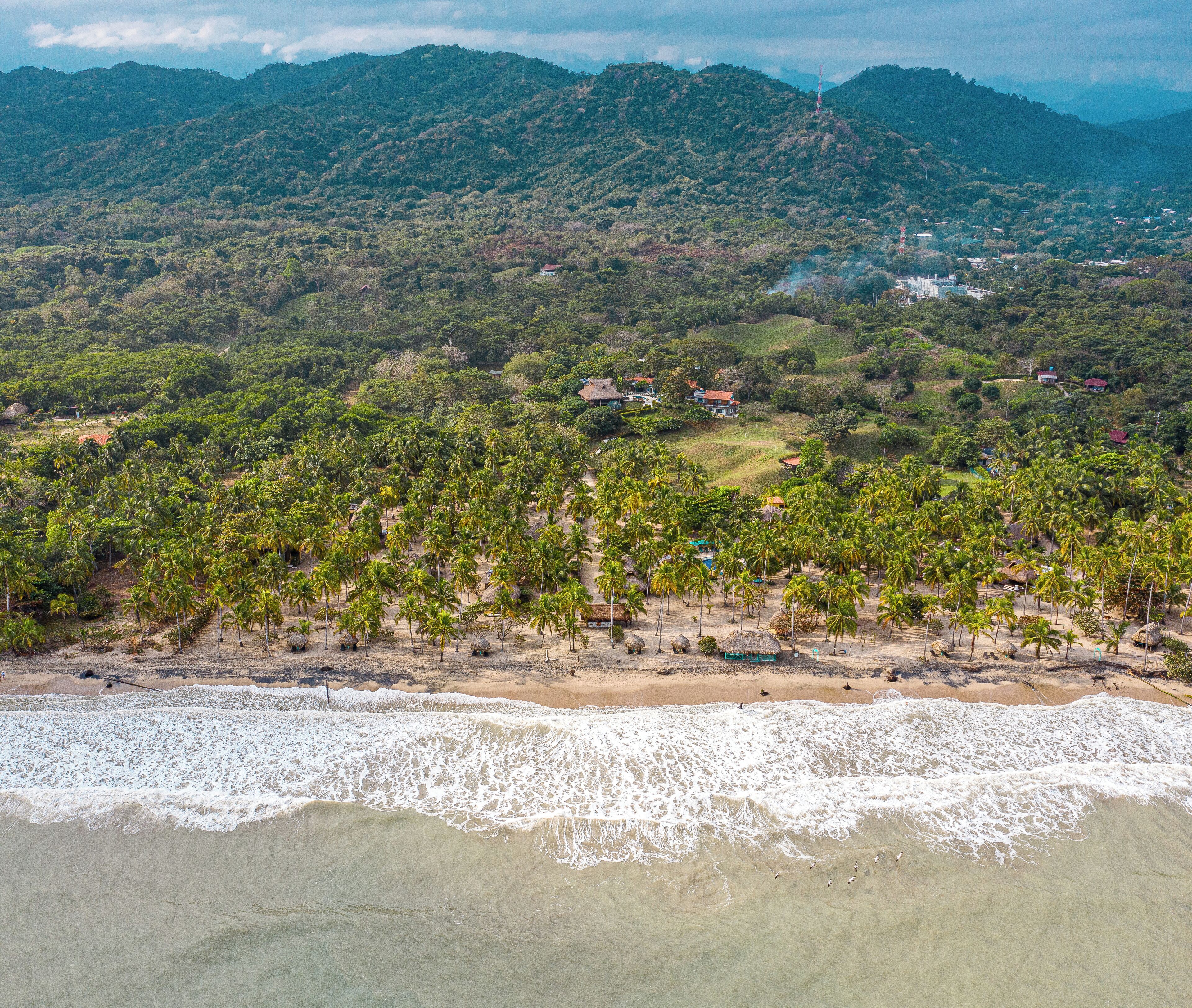 Paisagem costeira com praia, palmeiras e um horizonte montanhoso.