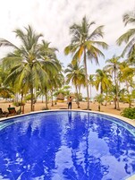 Piscina cercada por palmeiras e uma praia.
