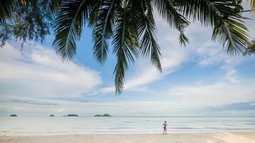 Uma praia privada, espreguiçadeiras, guarda-sóis de praia