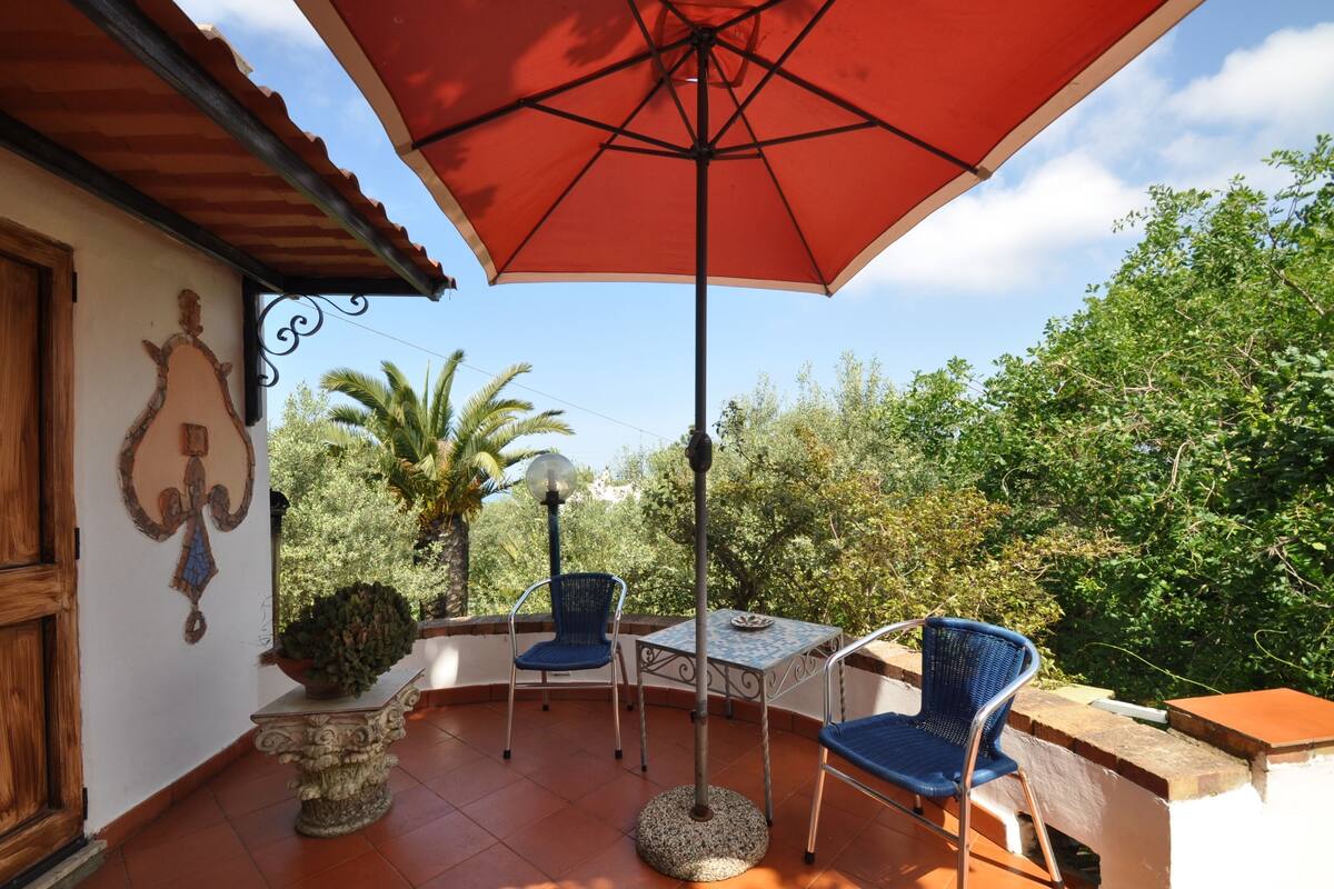 Quarto Duplo, varanda, vista para o mar | Terraço/pátio interior