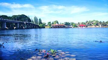Um lago tranquilo com nenúfares e uma ponte ao fundo.
