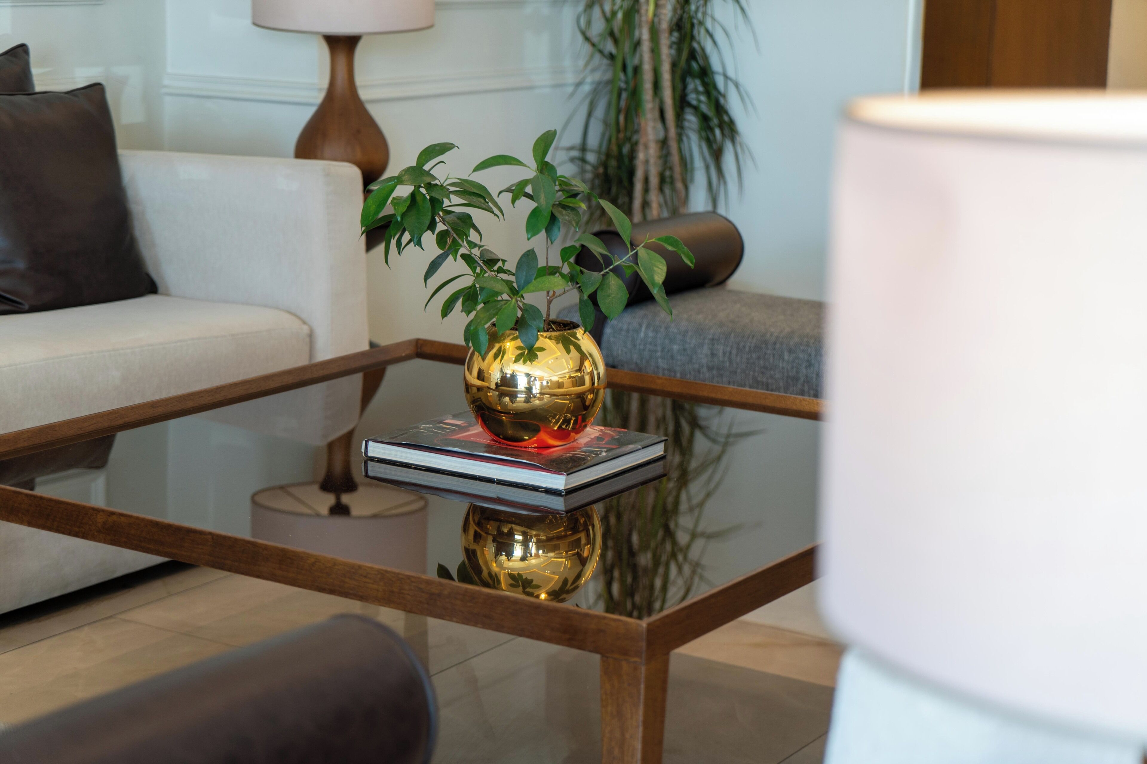 Uma sala de estar moderna com uma mesa de centro de vidro, um sofá, uma luminária e uma planta em vaso.