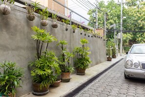 Uma fileira de vasos com plantas em frente a uma parede de concreto, um carro estacionado na rua e um edifício ao fundo.