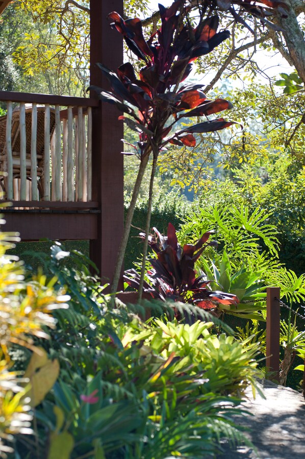 Um deck de madeira com guarda-corpo branco, rodeado por folhagem verde exuberante e diversas plantas.