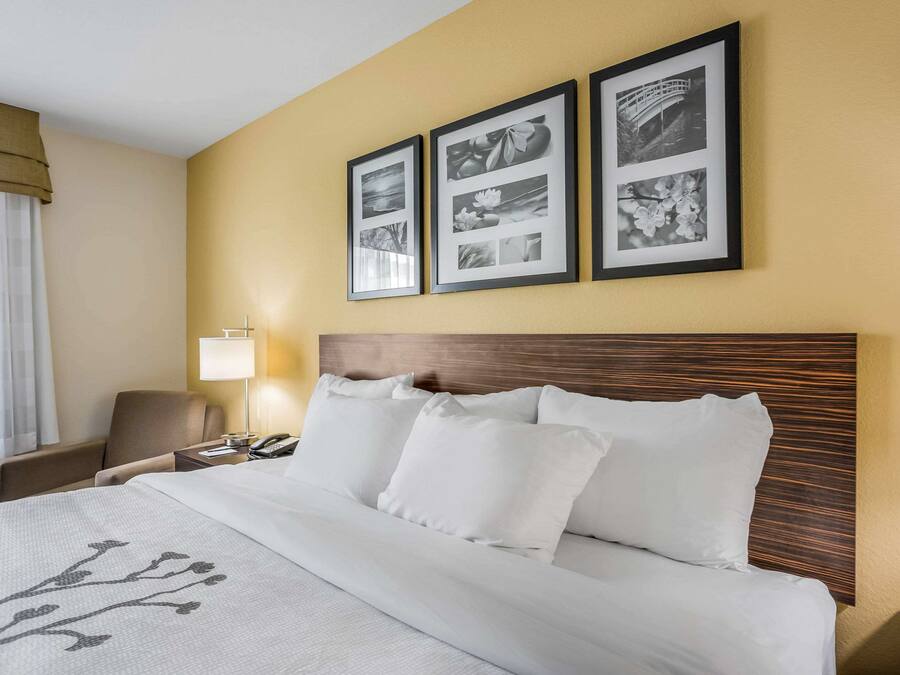 Quarto de hotel com uma cama, mesa de cabeceira, abajur, cadeira e três quadros na parede.