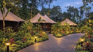Jungle Luxe Tent | 1 quarto, roupas de cama premium, edredons de pluma