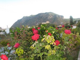 Terrenos do alojamento