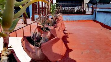 Terraço/pátio interior