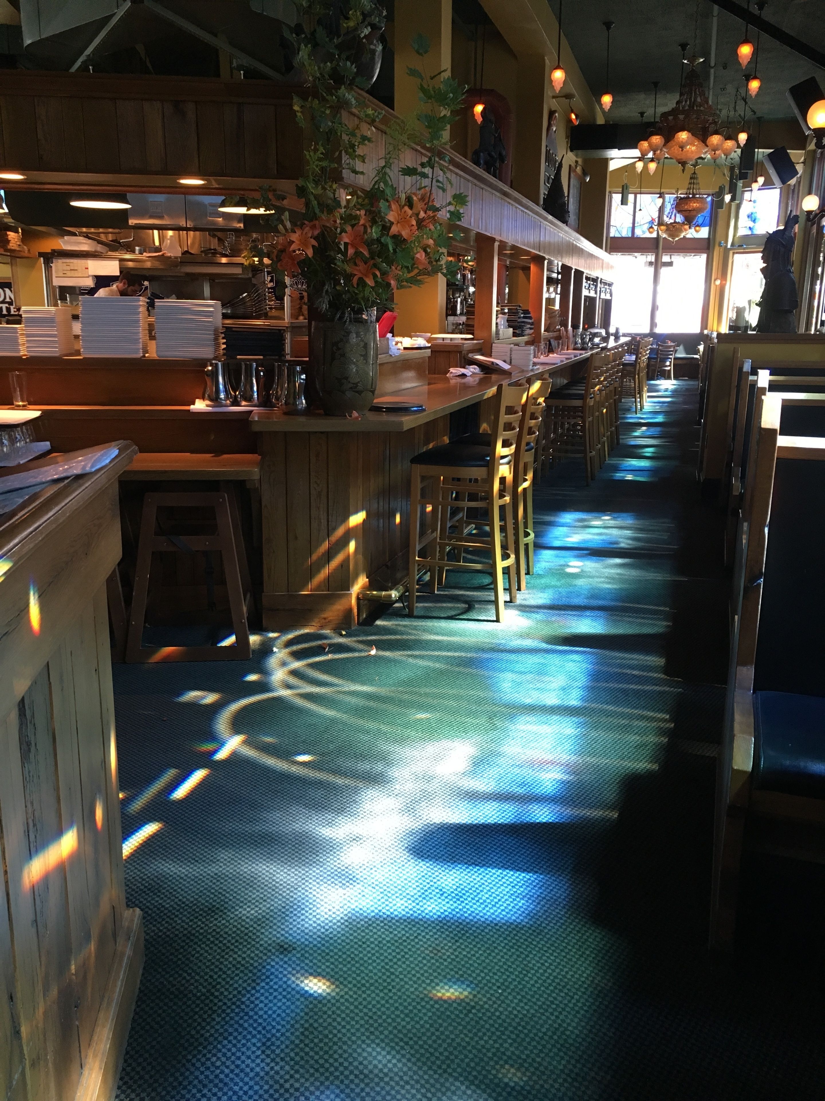 Interior de restaurante com um balcão comprido, cadeiras de madeira e uma planta decorativa.