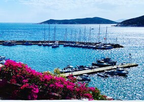 Uma marina com barcos atracados, cercada por água e colinas ao fundo.
