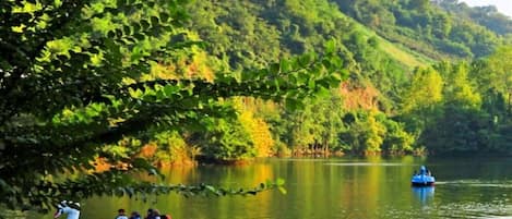 Um barco com passageiros em um lago calmo, cercado por vegetação exuberante.