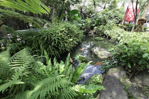 Jardim