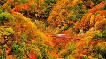 Uma área arborizada com uma ponte vermelha.