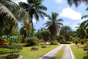 Jardim