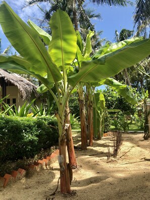 Área da propriedade