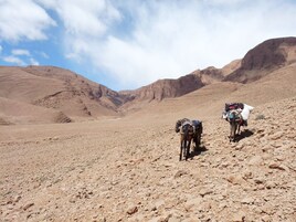 Quarto duplo | Área de estar