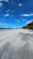 Uma praia com céu claro, areal arenoso e palmeiras.
