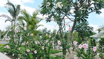 Jardim