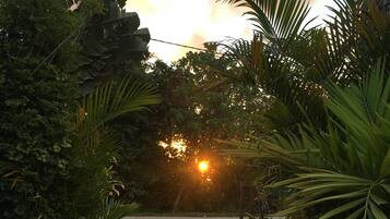 Terraço/pátio interior