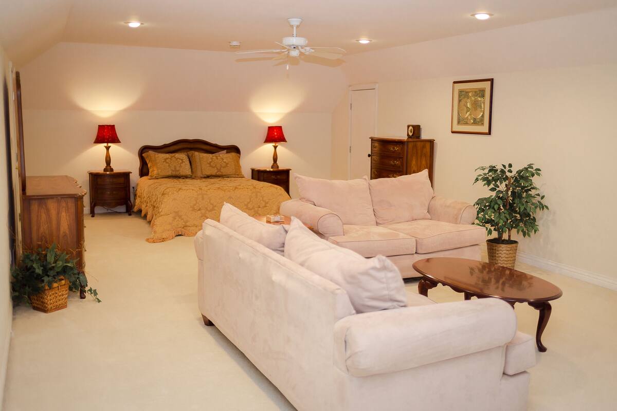 Um quarto espaçoso com uma cama grande, duas mesas de cabeceira com luminárias, um aparador de madeira, um sofá, uma mesa de centro e uma planta em vaso.
