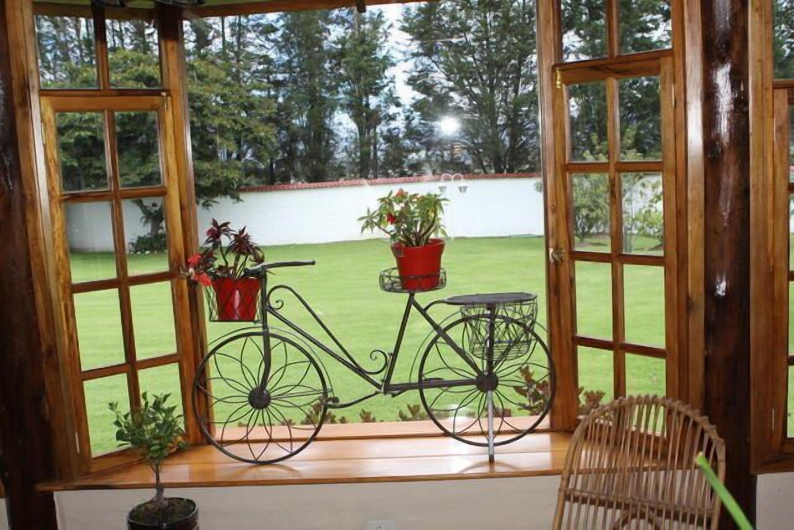 Janela de madeira com bicicleta e plantas em vasos no interior, com vista para um jardim gramado.