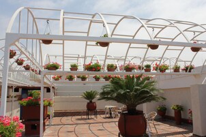 Terraço/pátio interior