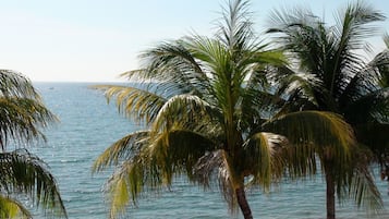 Vista da propriedade