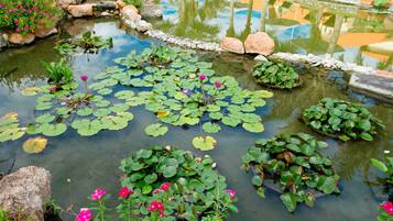 Jardim