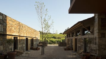 Pátio com edifícios de pedra, plantas em vasos e uma árvore.