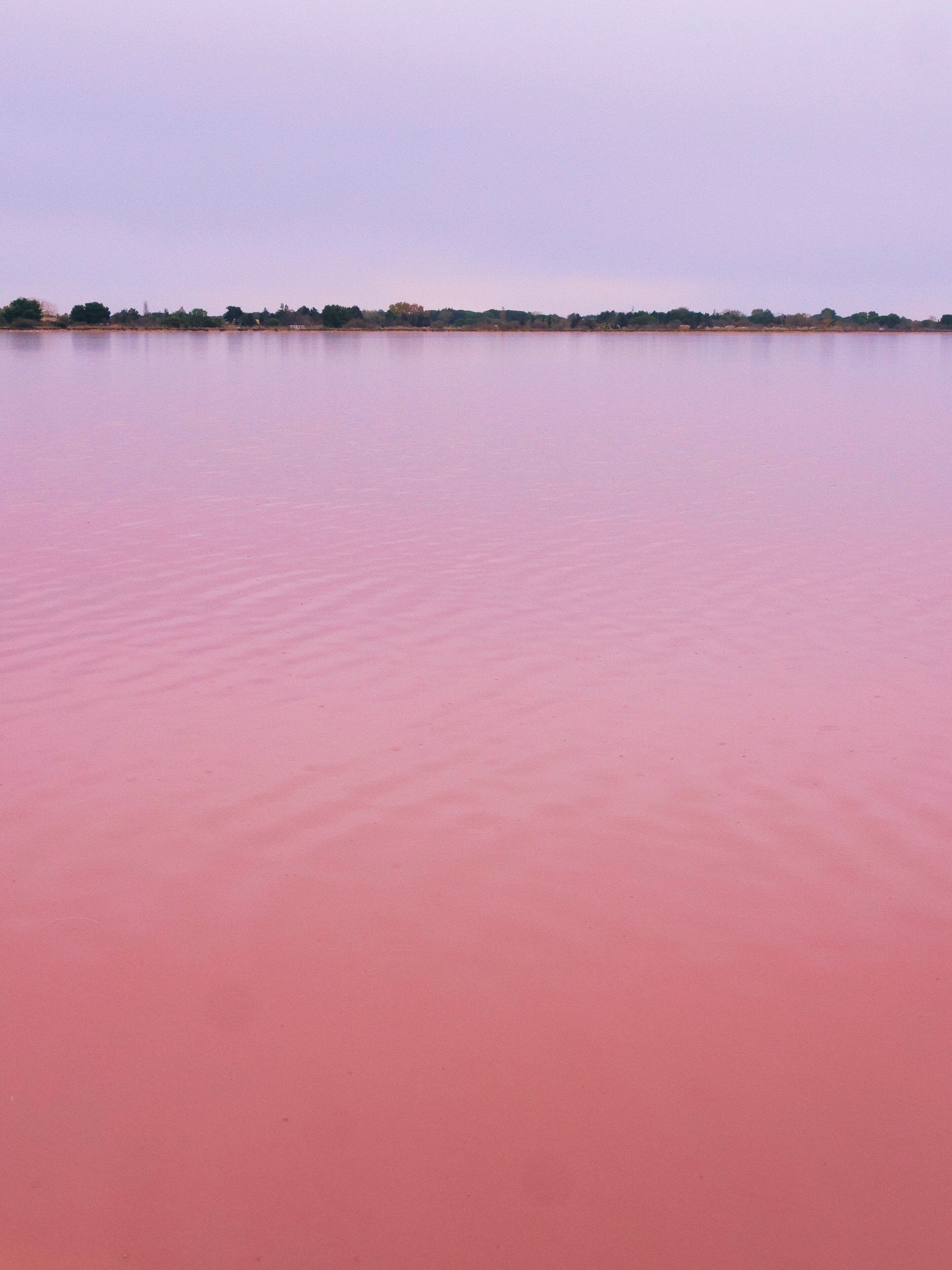 Uma vasta extensão de água com tonalidade rosada, possivelmente uma salina ou lago, com horizonte plano e vegetação esparsa ao longe.